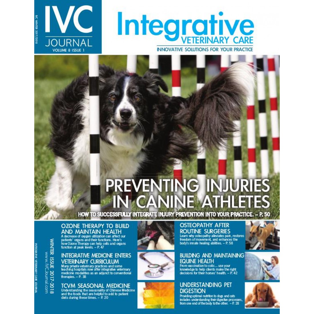 Give a Gift of Integrative Veterinary Care Journal Magazine ...