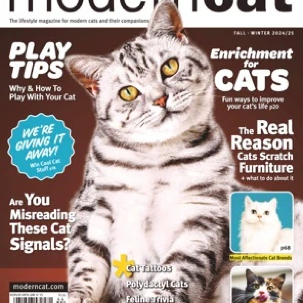Give a Gift of Modern Cat Magazine (2 yr term) subscription. Save 24% ...