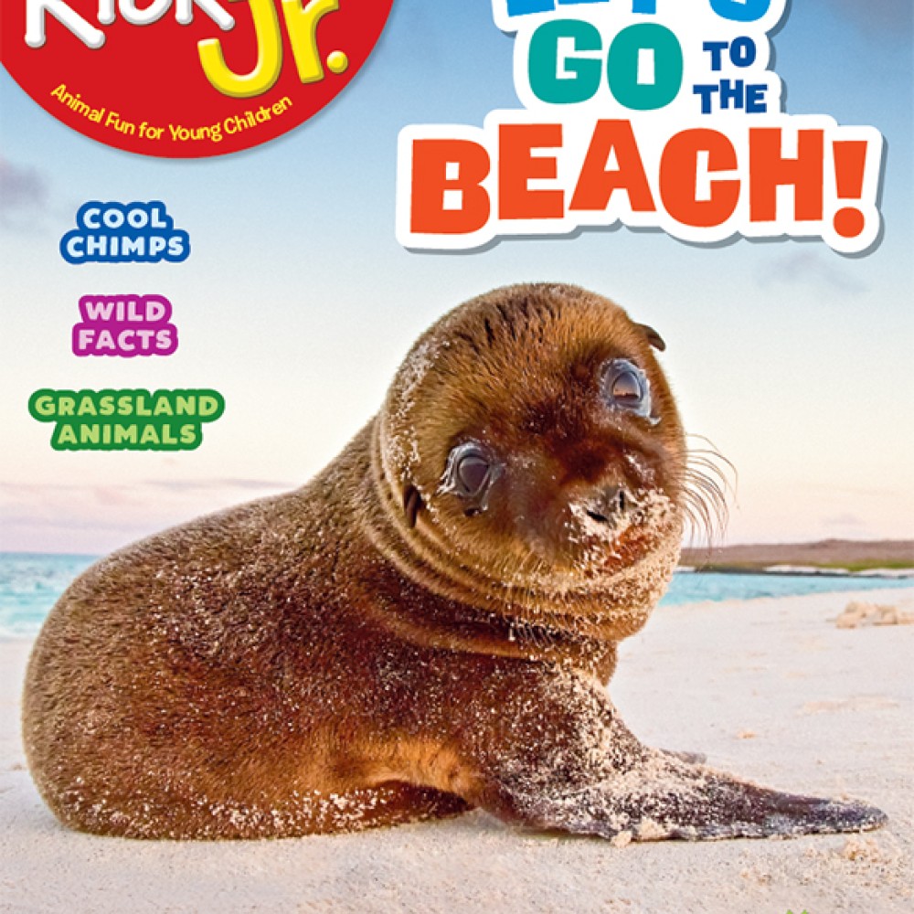 Give a Gift of Ranger Rick Jr. Magazine subscription. Save 14% Off This ...